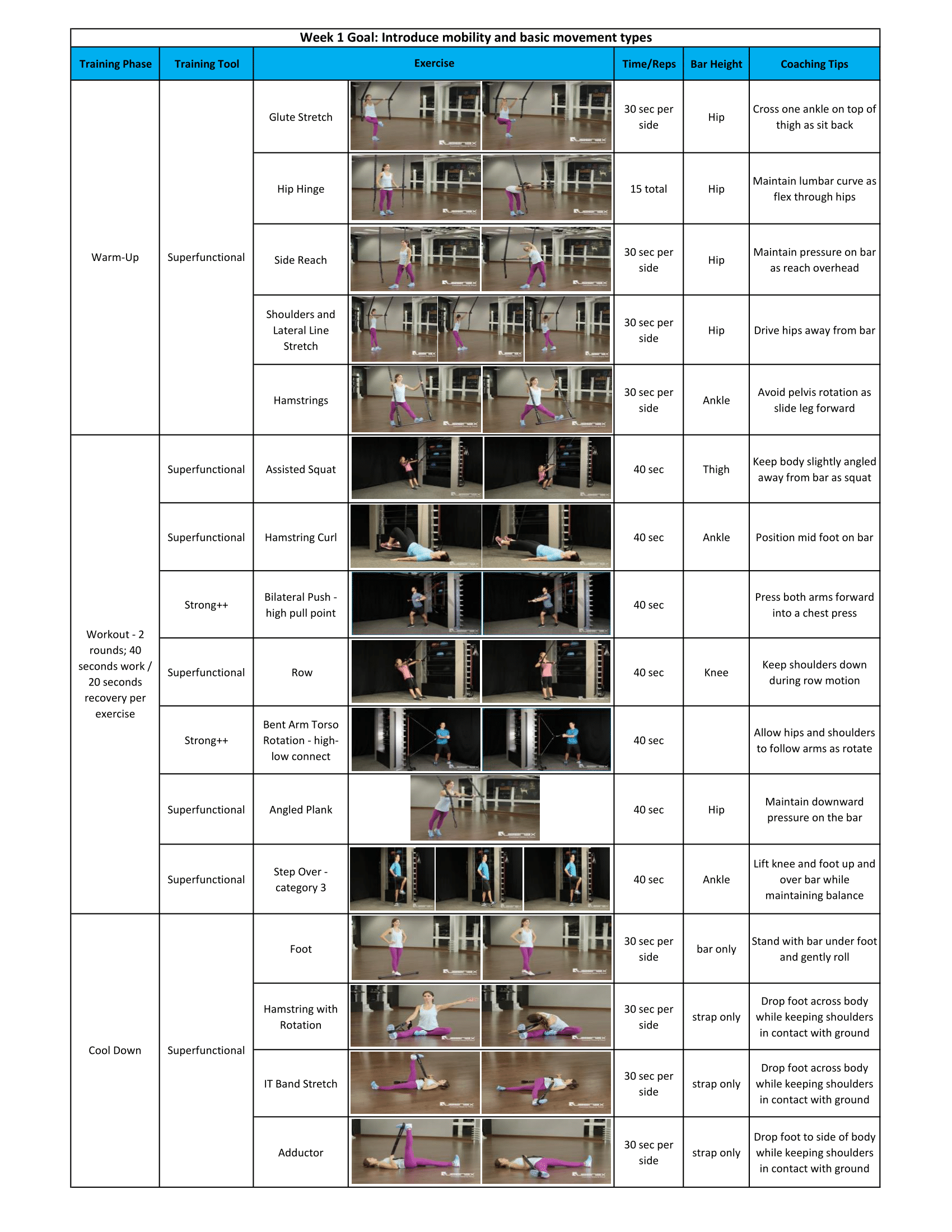 Introduce mobility and basic movement types - Queenax